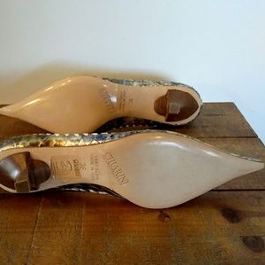 Chiarini Bologna | Shoes | Nwot Chiarini Bologna Snakeskin Kitten Heels ...